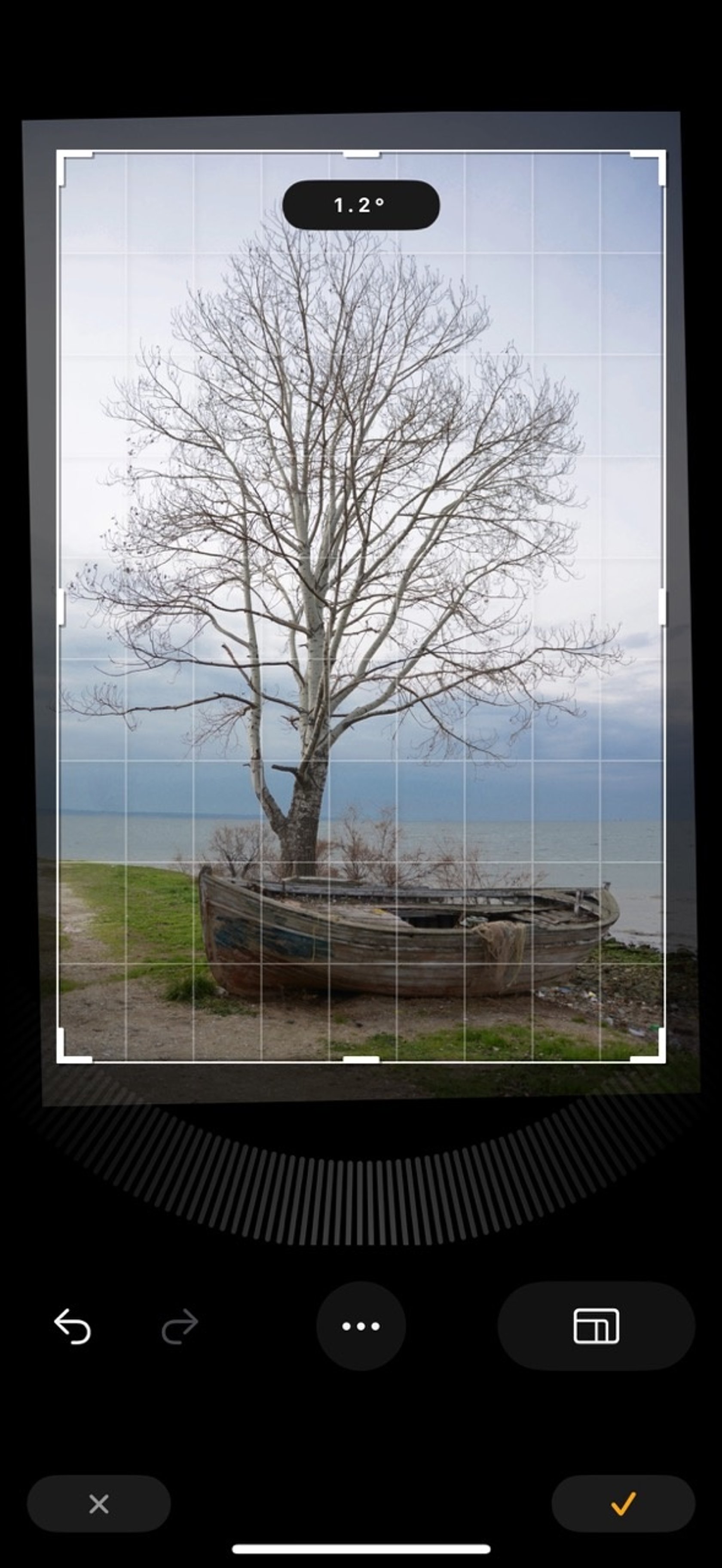 How To Edit Pictures On Phone: Ace Your Shots | Skylum How-to