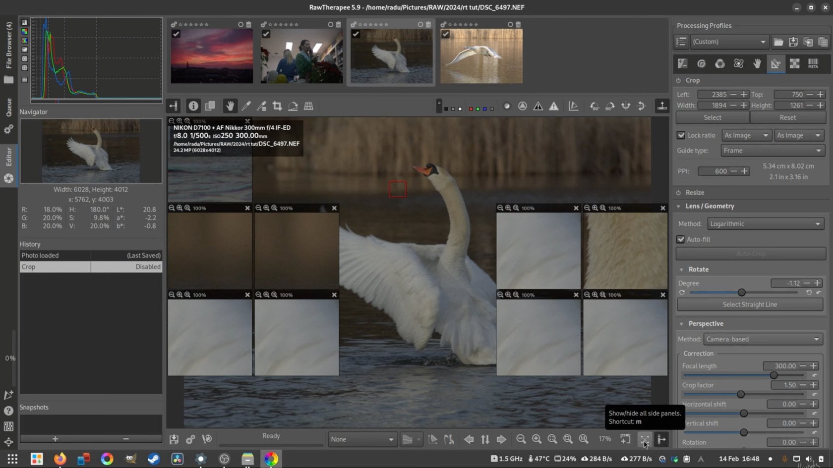 Lightroom Alternative: Best Alternatives to Adobe Lightroom