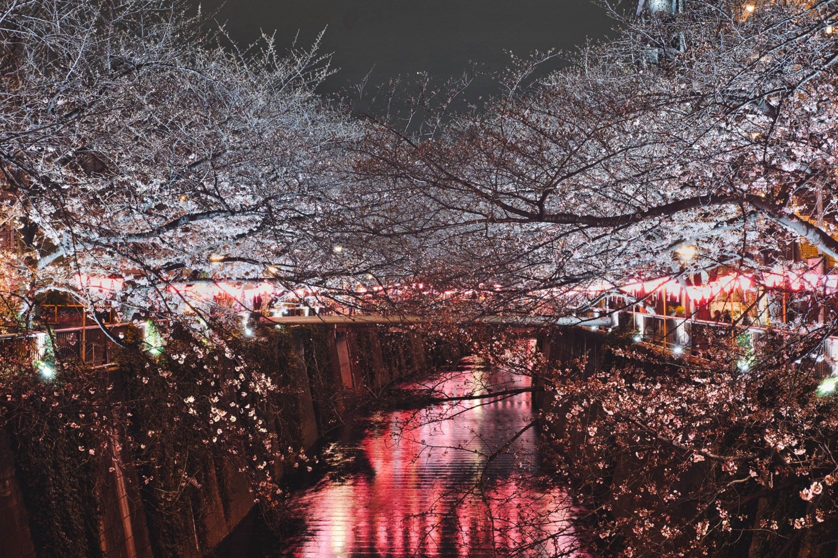 Night Photography Tips: The Ultimate Guide