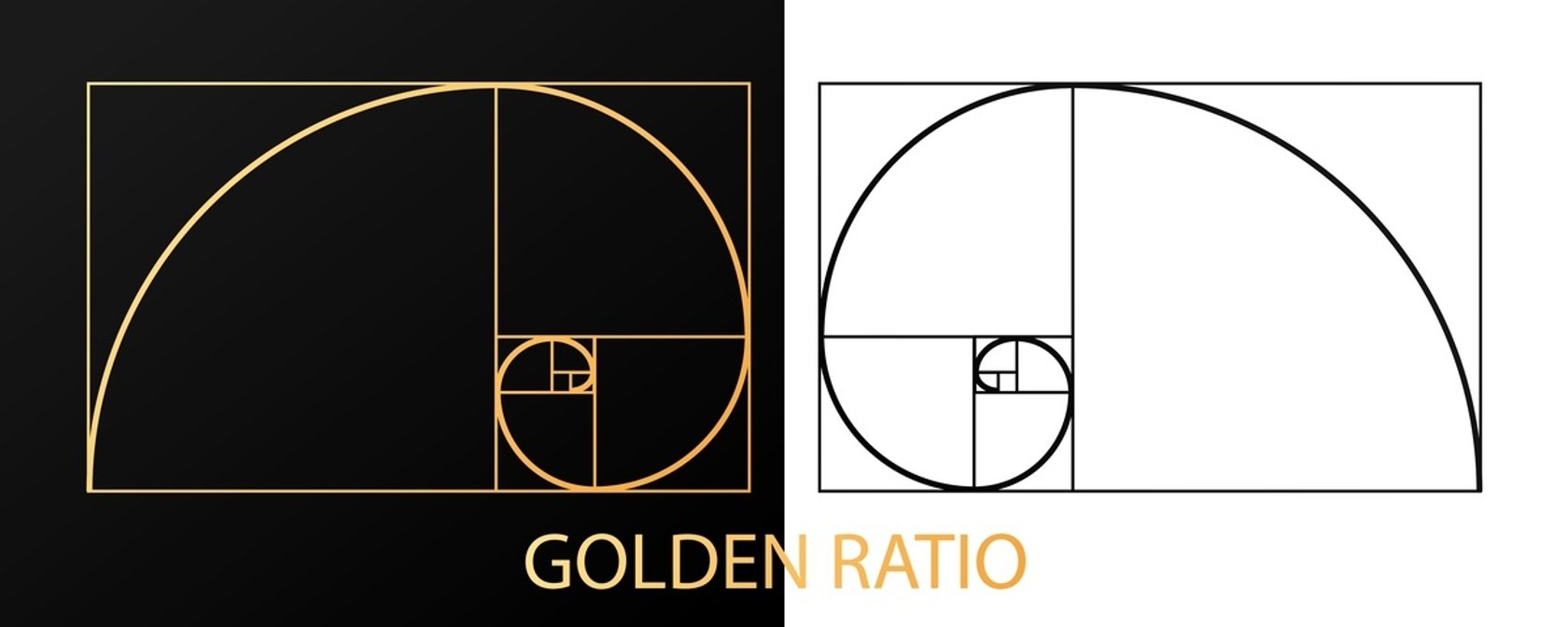 golden section drawing