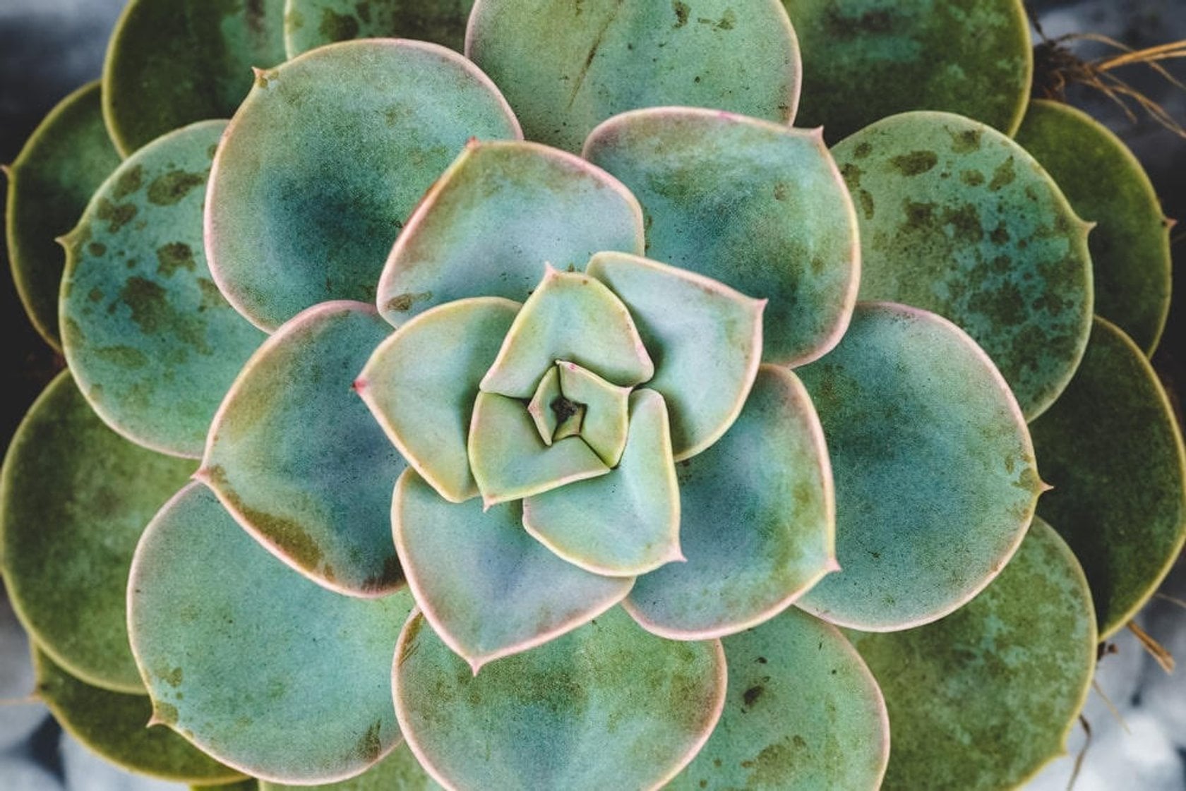 All You Wanted to Know About Teal Color Beauty on Your Photos!