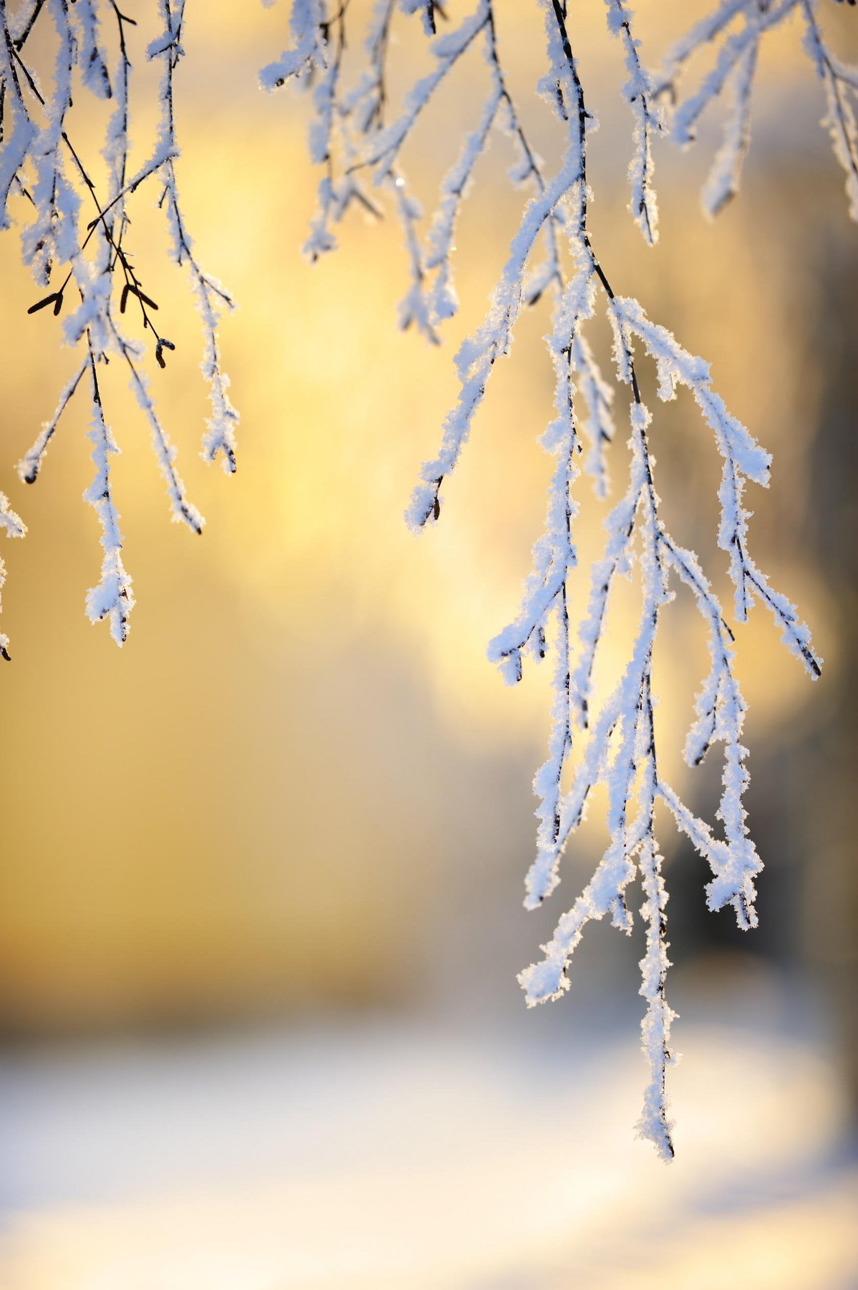 11 Ways to Work Low-angle Shots in Your Urban Photography | Skylum Blog