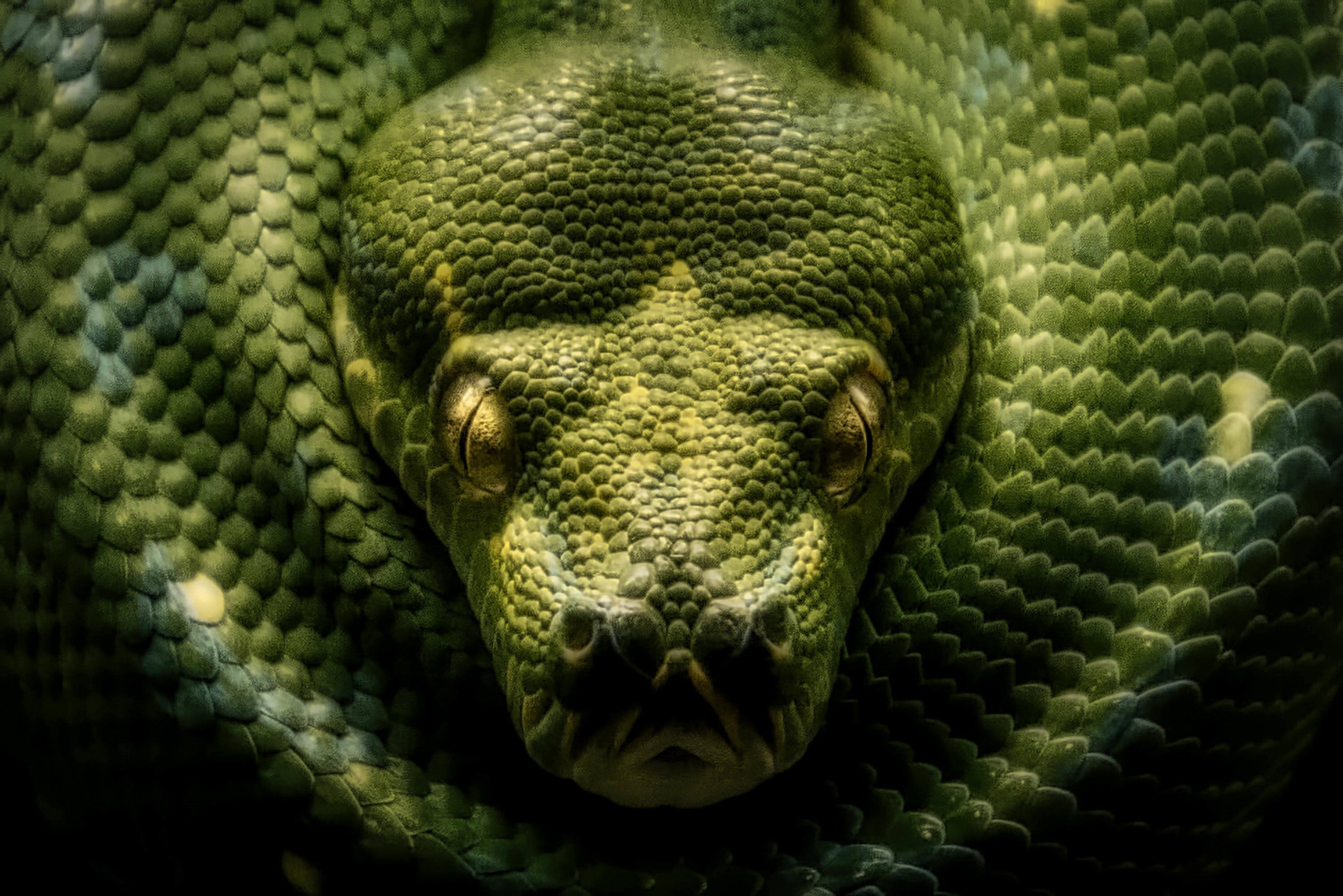 Wildlife Photography: Full Guide to Taking the Best Photos of Animals