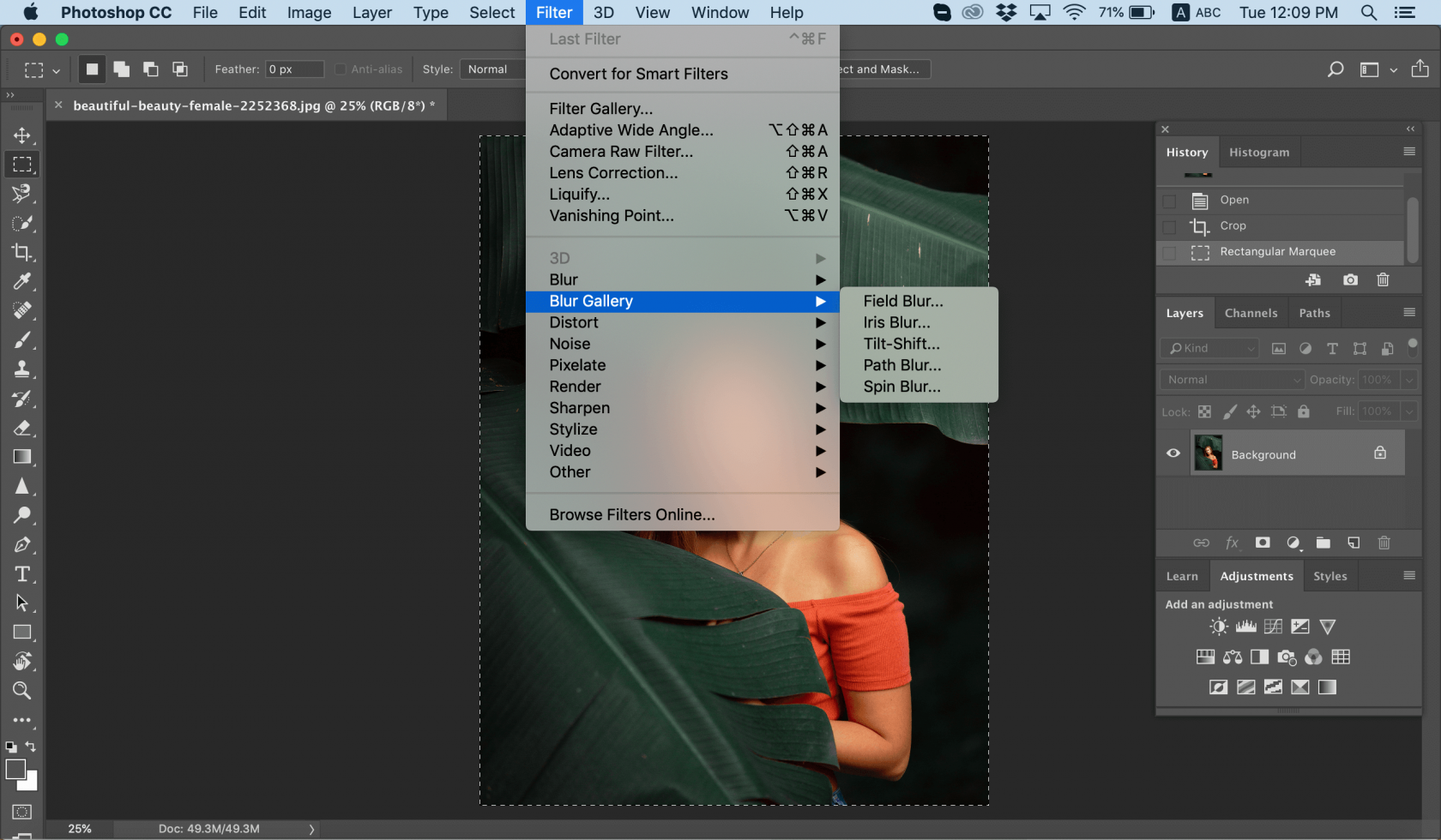 Cómo difuminar una imagen | Skylum How-to