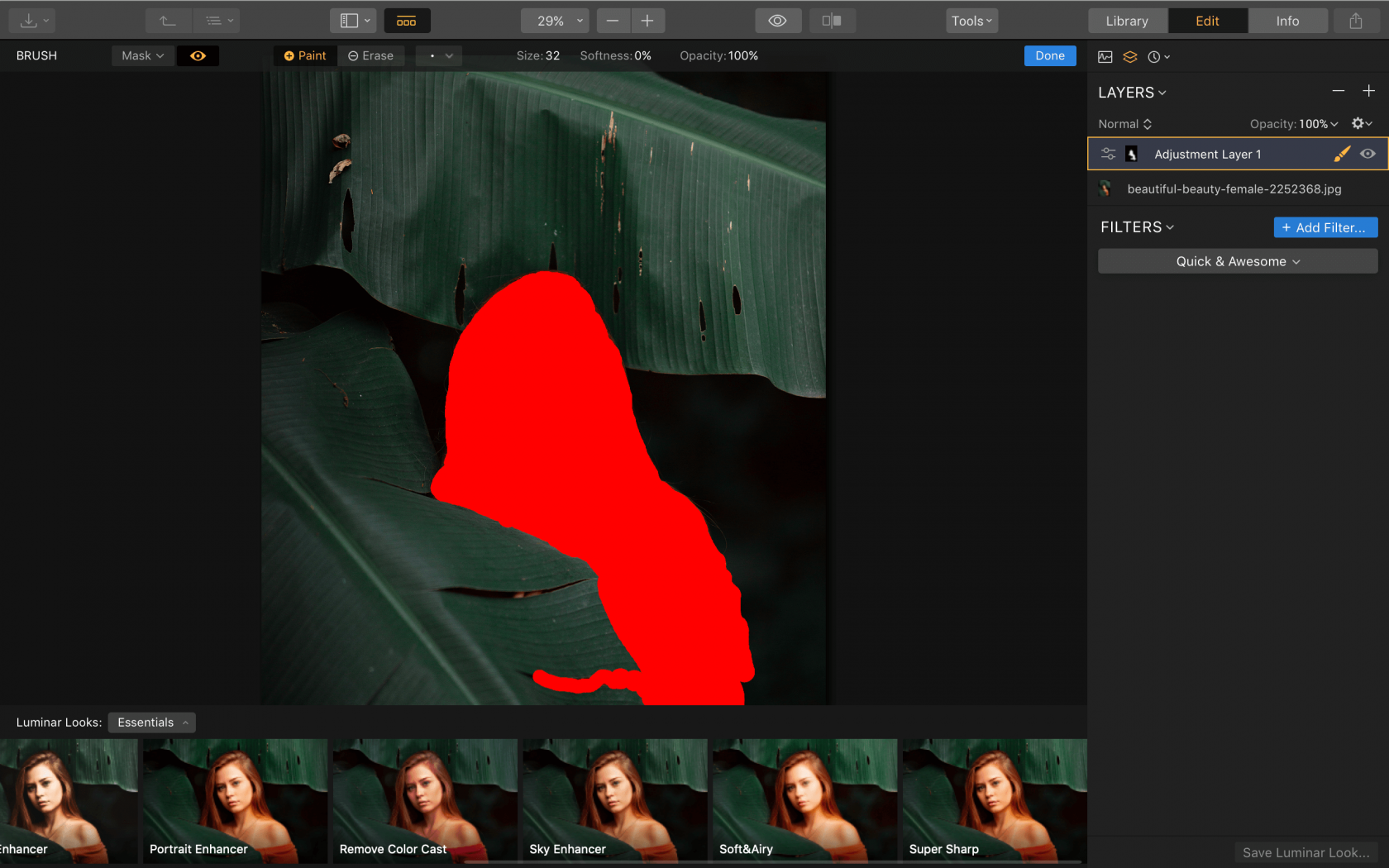 Cómo difuminar una imagen | Skylum How-to