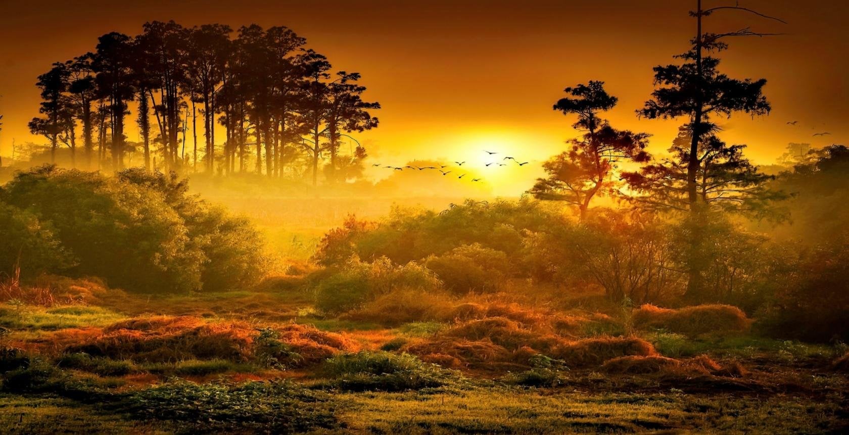 Back Light Photography: All You Wanted To Know About | Skylum Blog