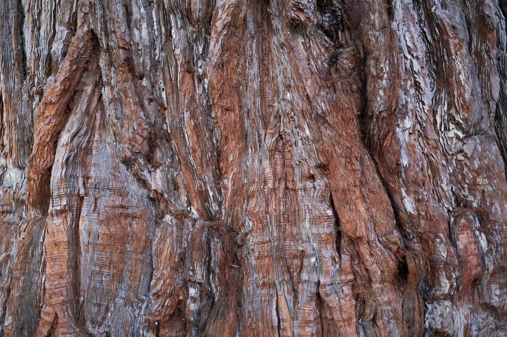 What Is Focus Stacking And How To Use It: Guide | Skylum Blog