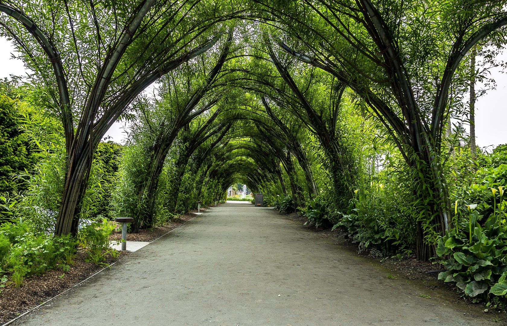 Repetition in Photography: 9 Types to Explore | Skylum Blog