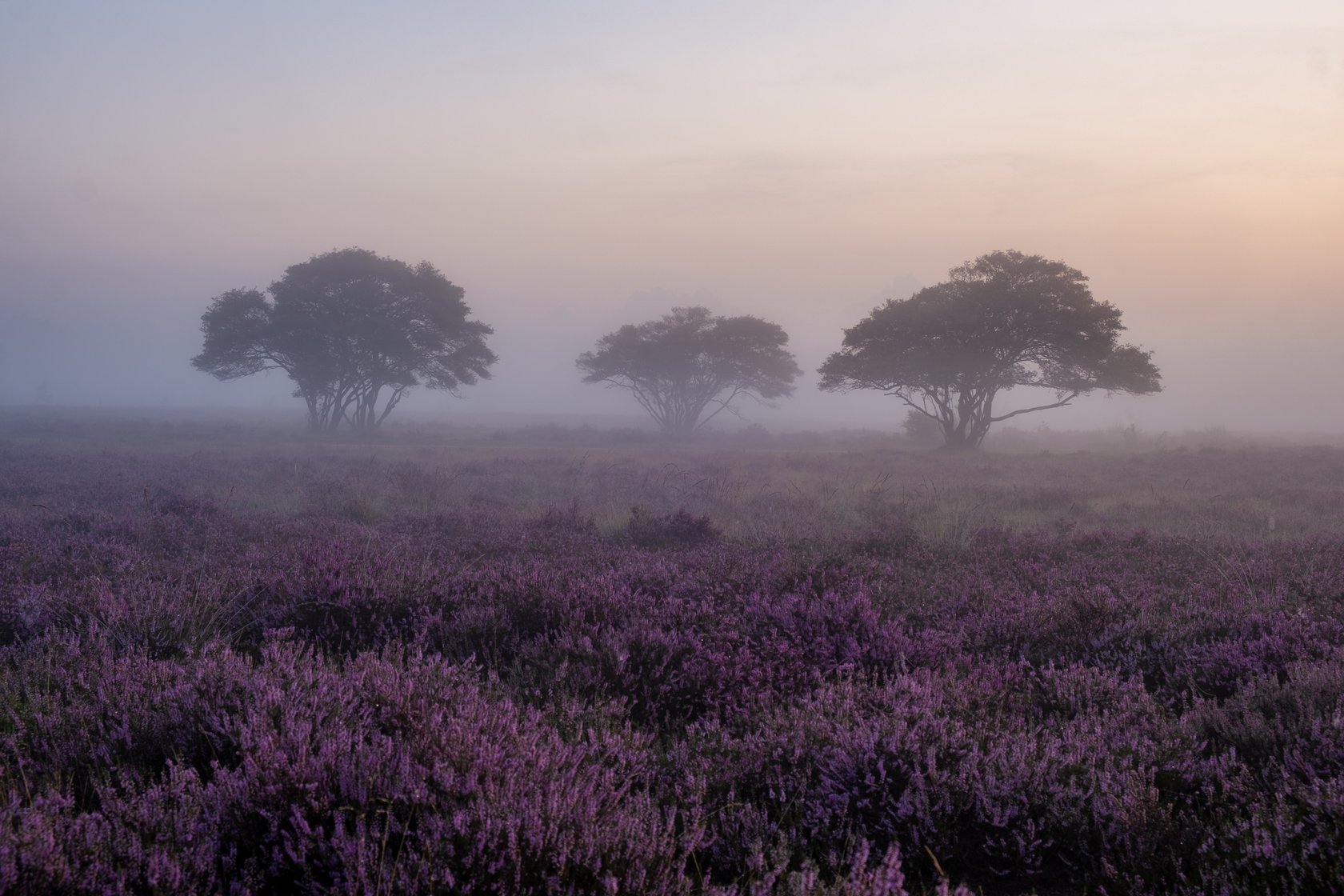 How To Photograph Fog: Equipment, Settings and Composition