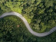 Curved Leading Lines Photography Shape And Movement Curved Leading Lines Photography Shape And Movement