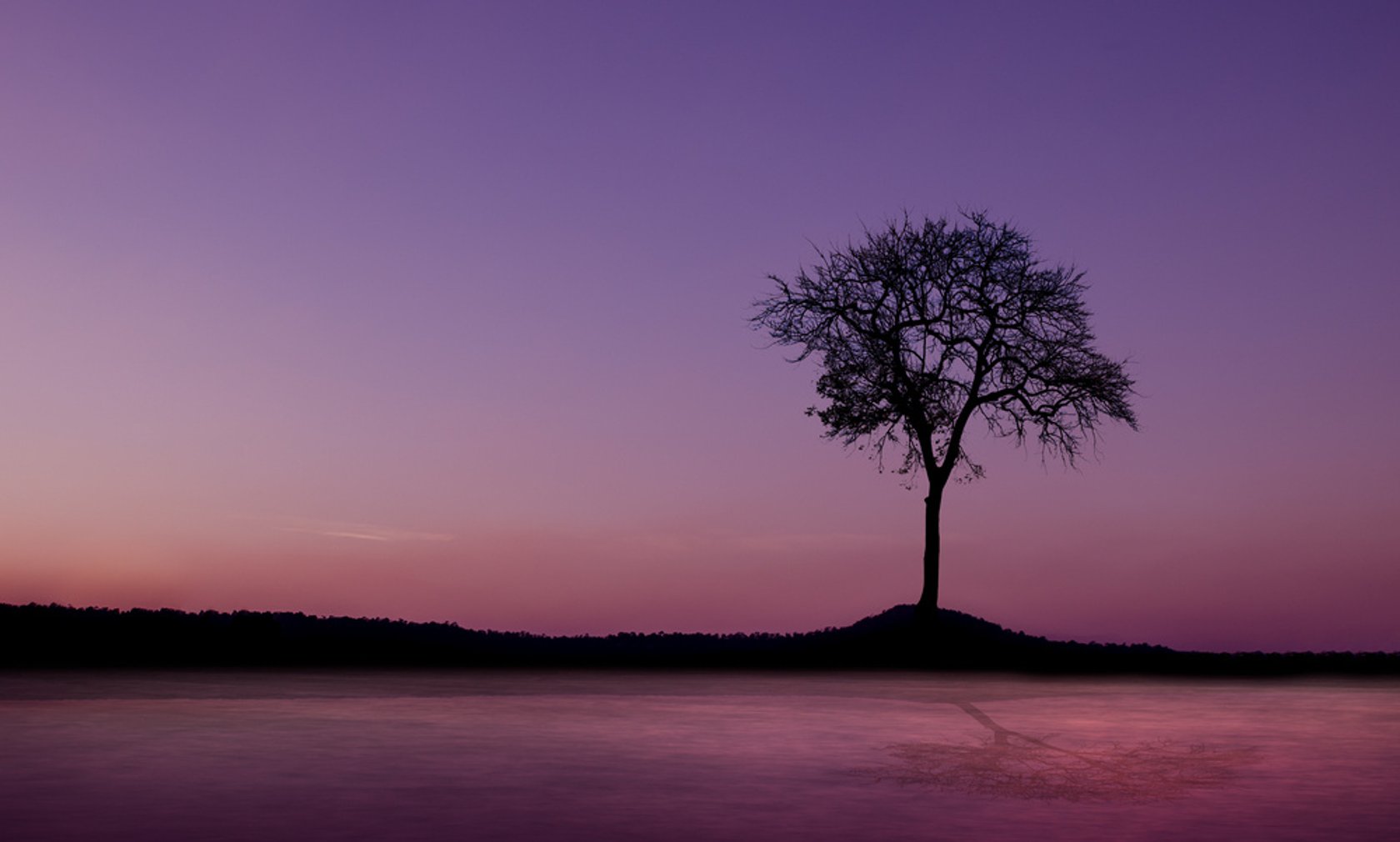 Crafting Stunning Landscapes: Tips With Our Guide