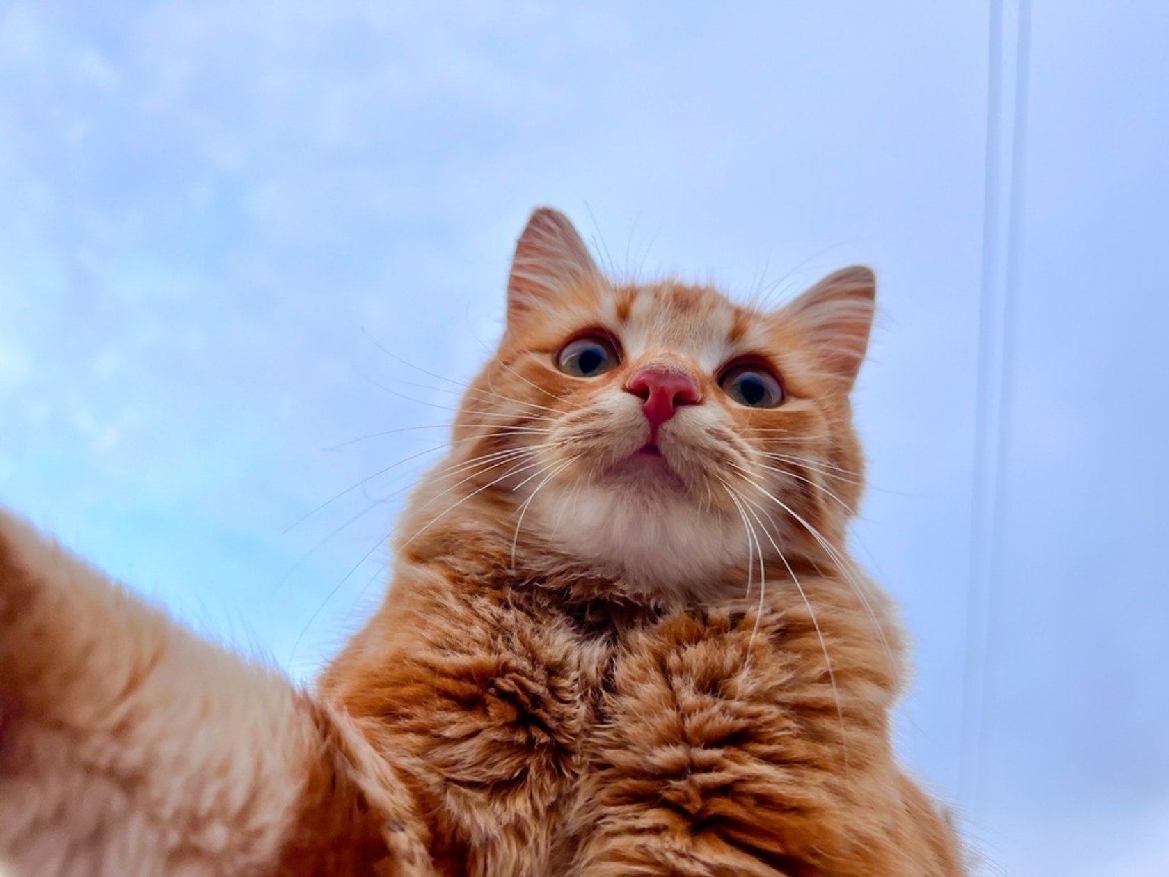 Best Selfie Camera: Top Features To Look For In 2025 | Skylum Blog