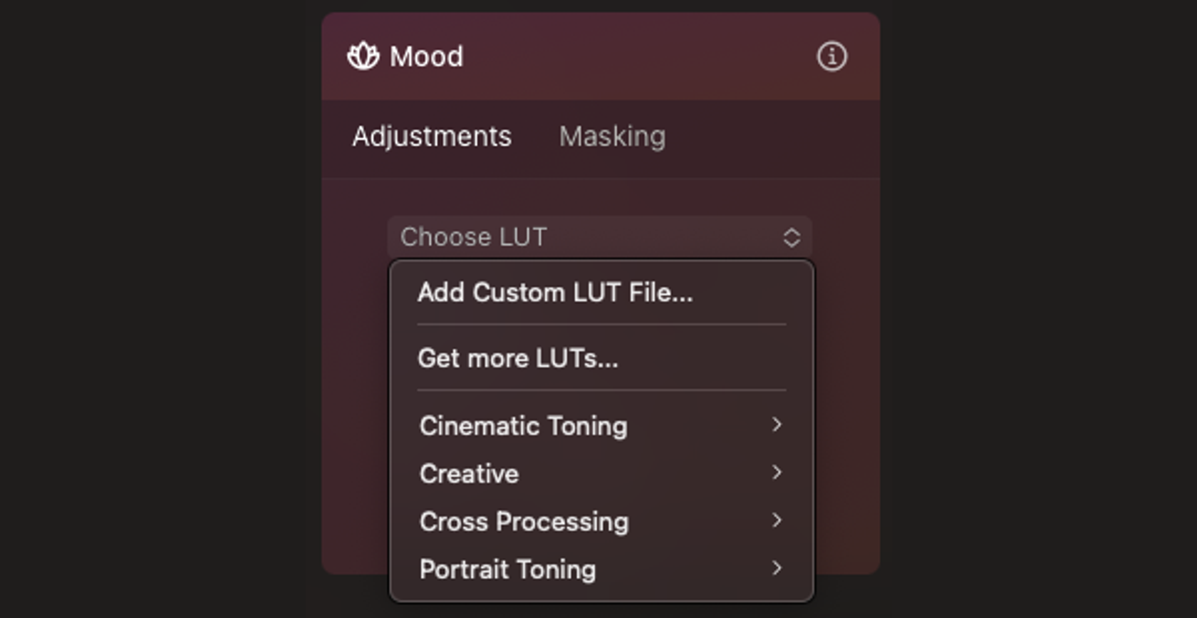 Exploring the Power of LUTs in Photographic Atmospheres | Skylum Blog