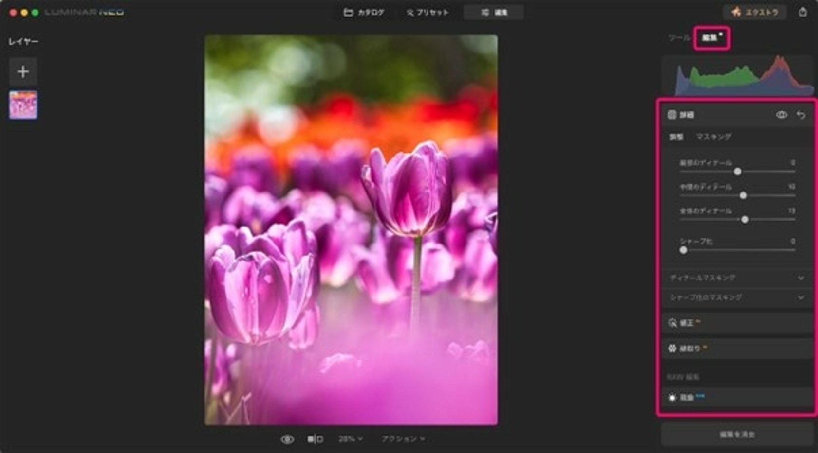 Luminar Neo Preset function: A Brief Guide | Skylum Blog