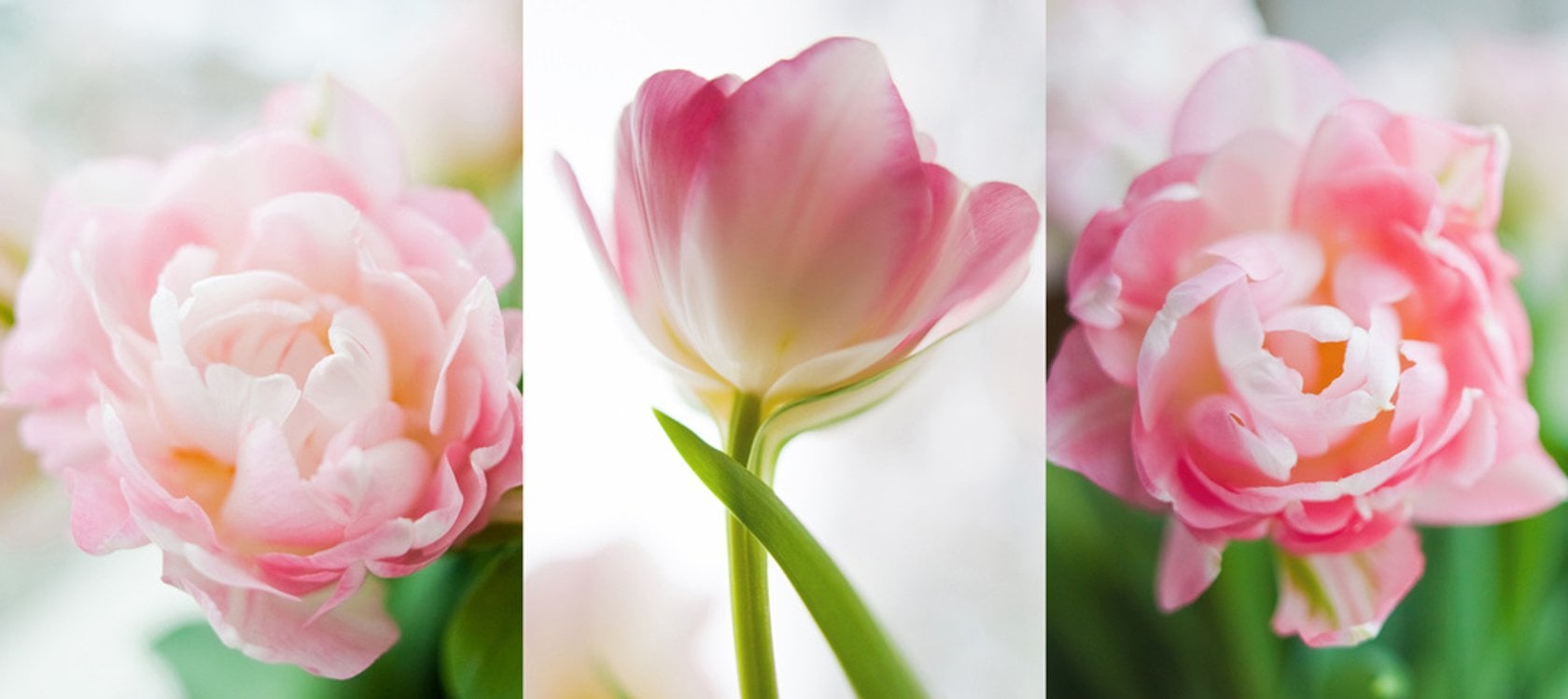 Triptych Photography Ideas: Beyond The Single Shot | Skylum Blog