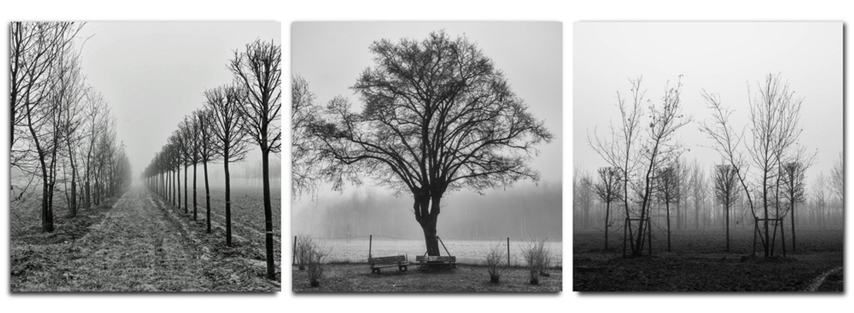 Triptych Photography Ideas: Beyond The Single Shot | Skylum Blog
