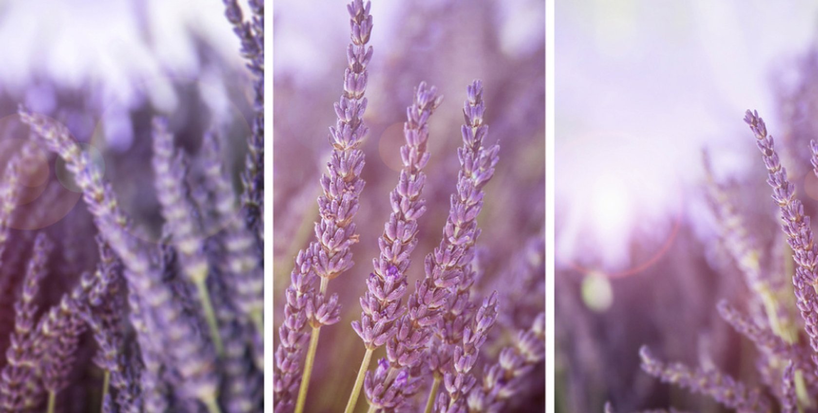 Triptych Photography Ideas: Beyond The Single Shot | Skylum Blog