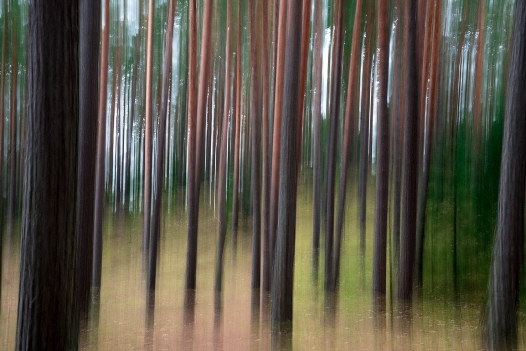 Mastering Intentional Camera Movement Photographу | Skylum Blog