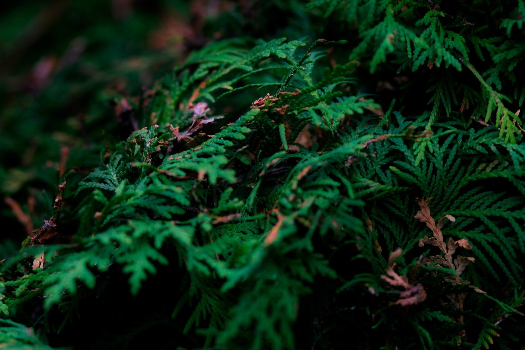 How To Make A Photo Darker For Aesthetic Shots | Skylum How-to