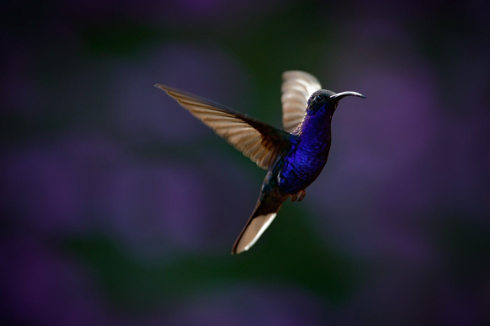 Dodging And Burning Photography | Skylum Blog