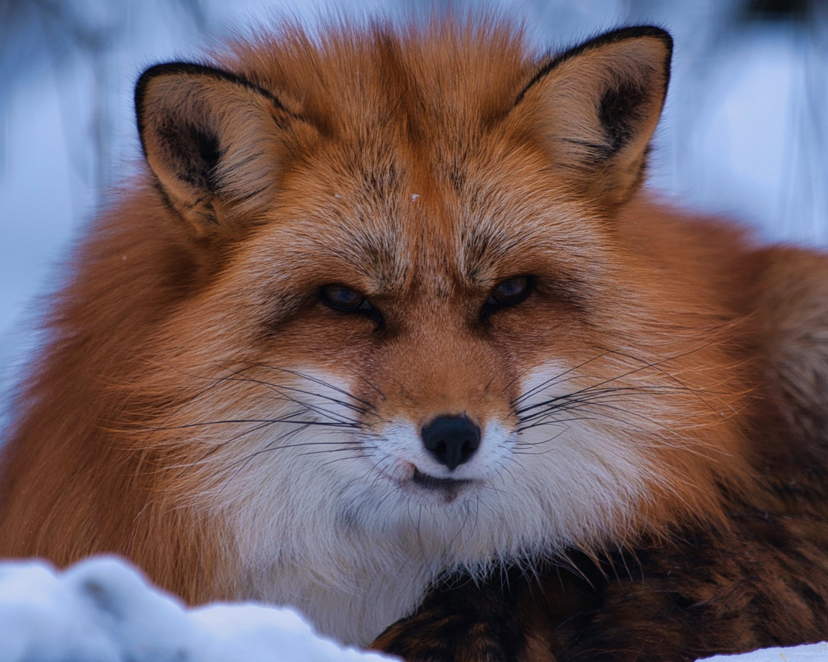 Dodging And Burning Photography | Skylum Blog