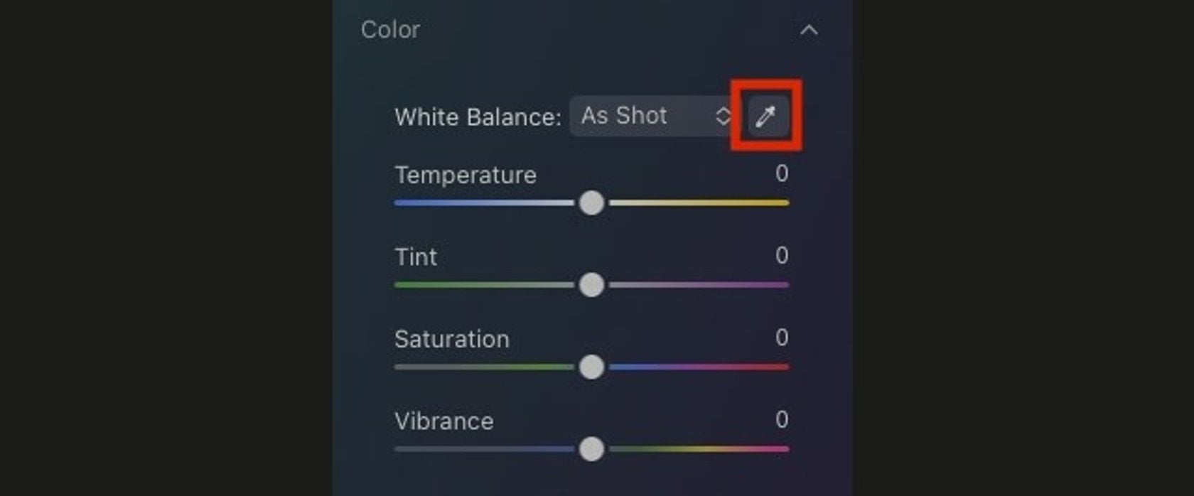 Master Object Photography: Essential Settings & Lighting for Beginners ...