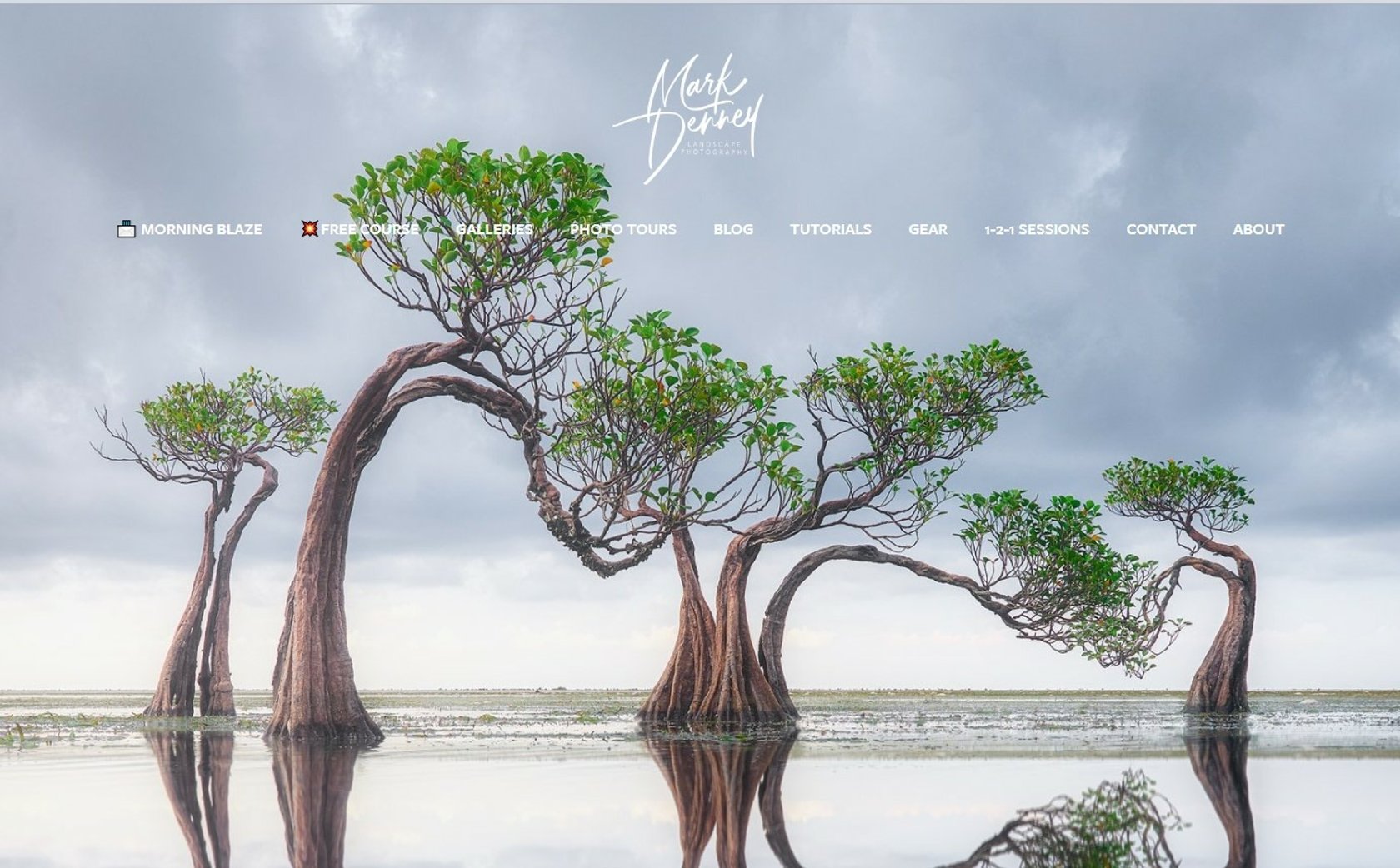 The Ultimate List Of 10 Best Photography Blogs In The USA I Skylum ...