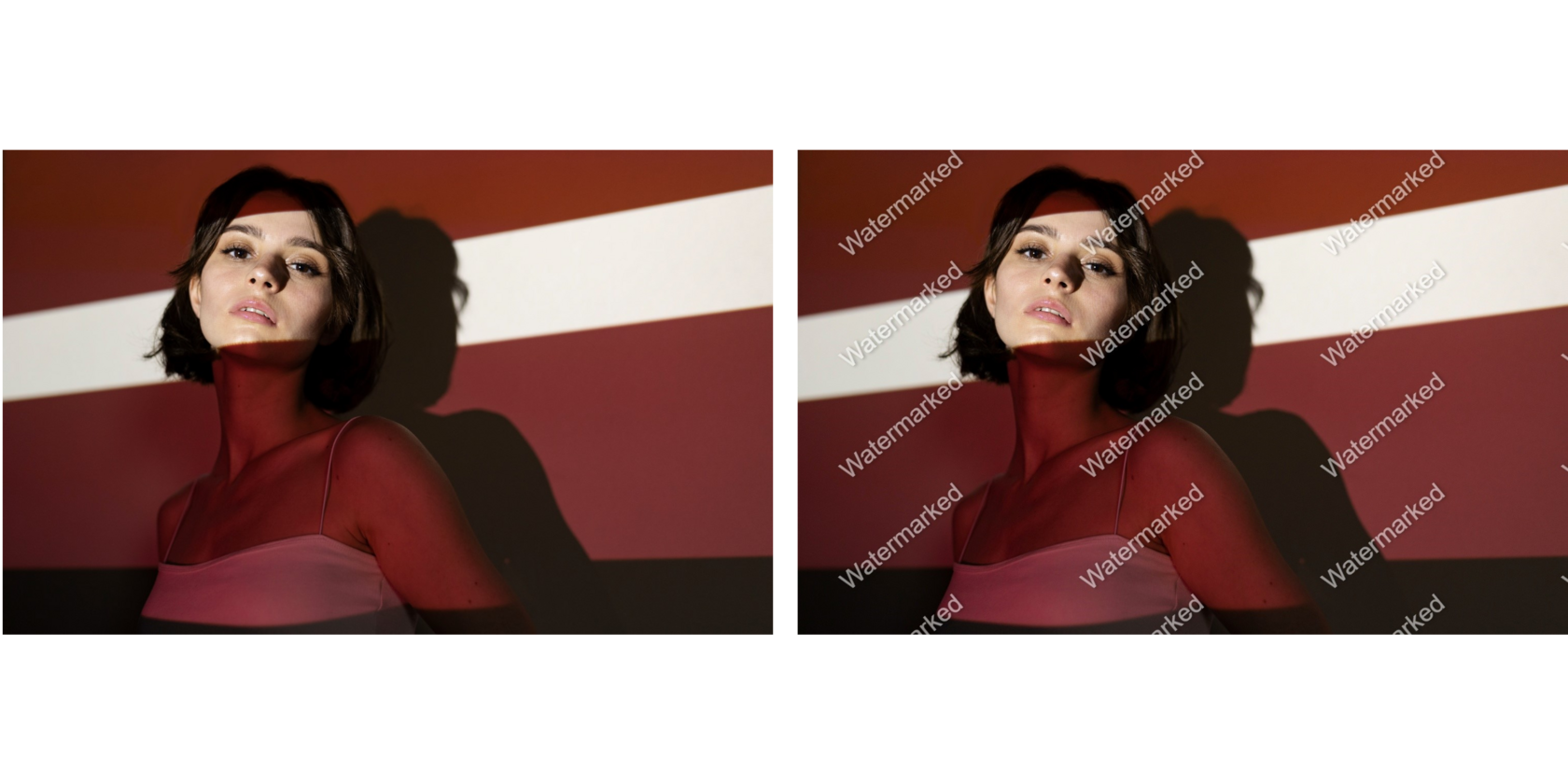 What Is A Watermark On A Photo And Its Role In Photo Security | Skylum Blog