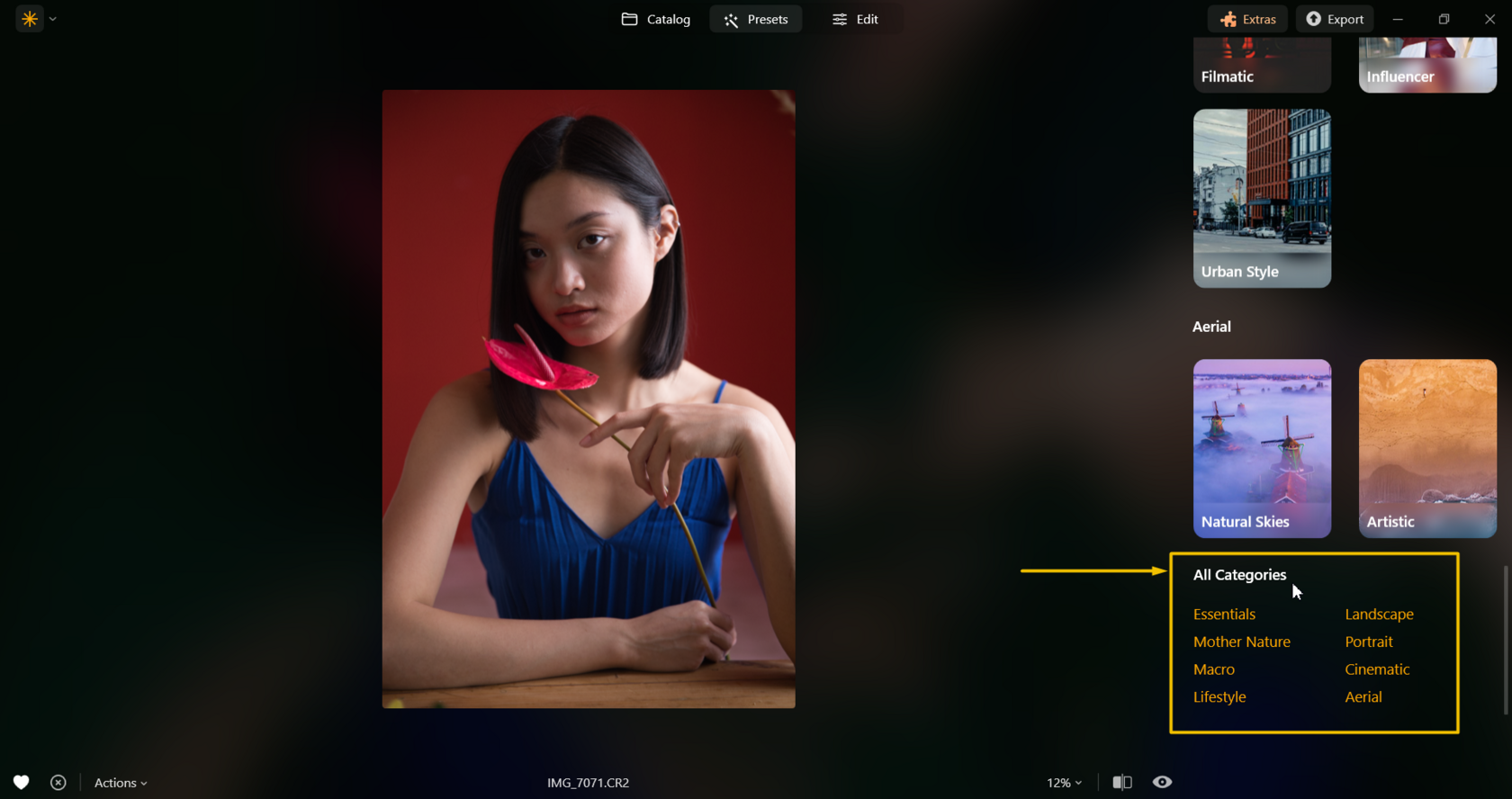 A Beginner's Guide to Luminar Neo's Presets | Skylum Blog