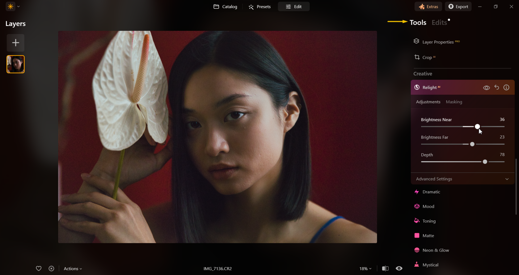 A Beginner's Guide to Luminar Neo's Presets | Skylum Blog