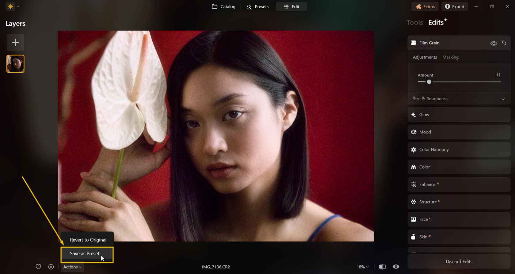 A Beginner's Guide to Luminar Neo's Presets | Skylum Blog