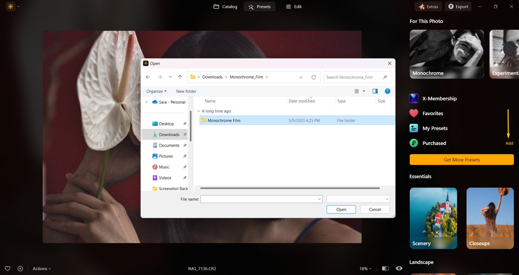 A Beginner's Guide to Luminar Neo's Presets | Skylum Blog