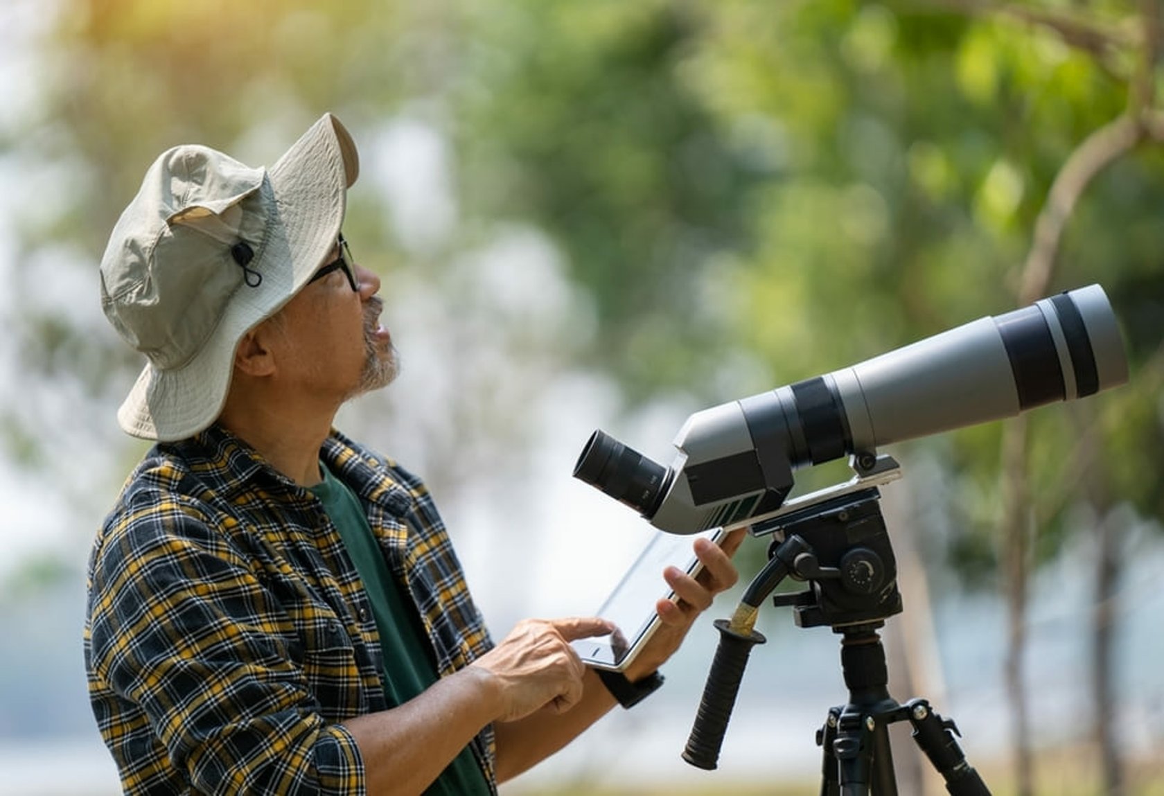 Wildlife Photography Tips And Tricks: A Guide To Masterful Shots ...