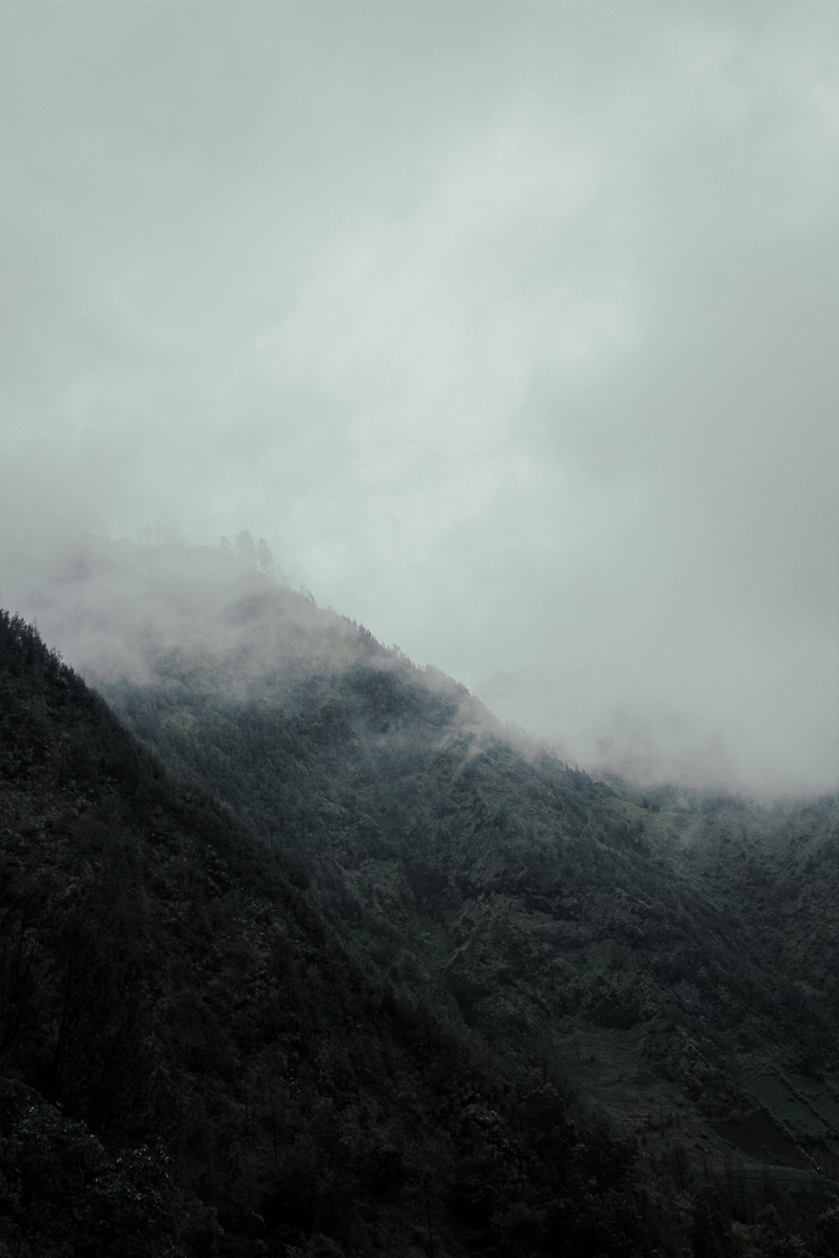 Close-Up Mountain Photography Unveiled | Skylum Blog