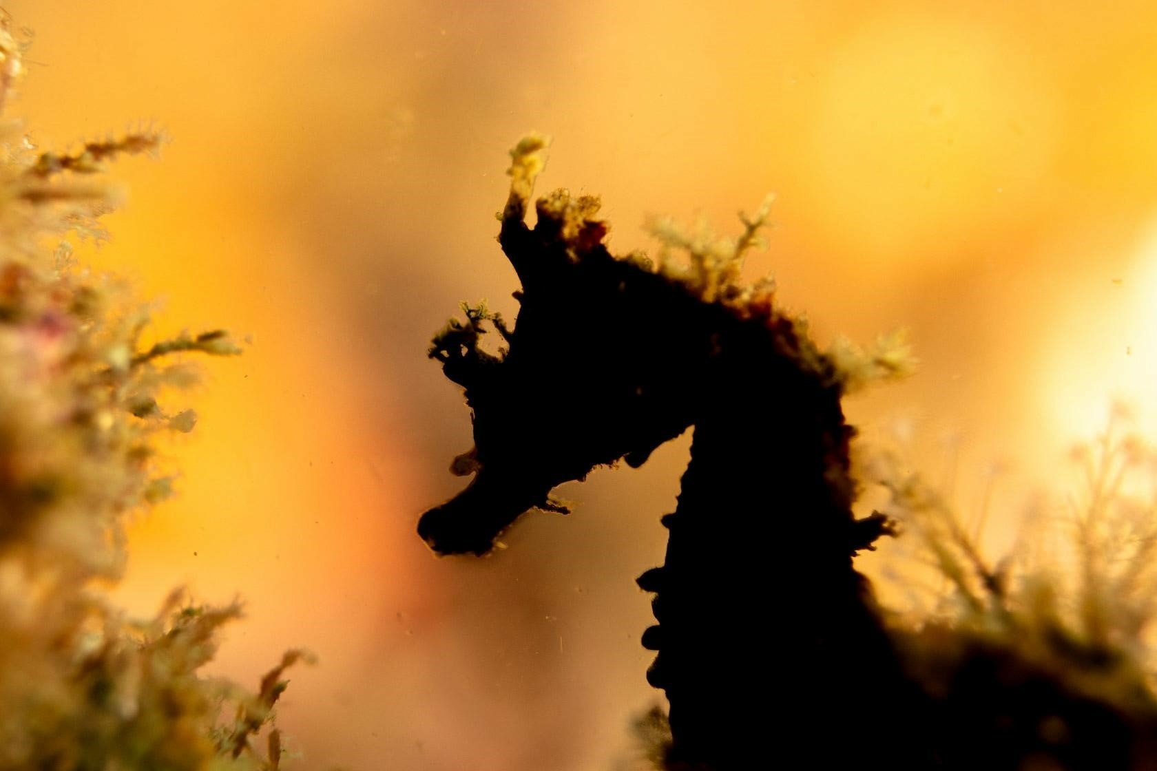 How To Make Dark Aesthetic Photos: 5 Tips | Skylum Blog