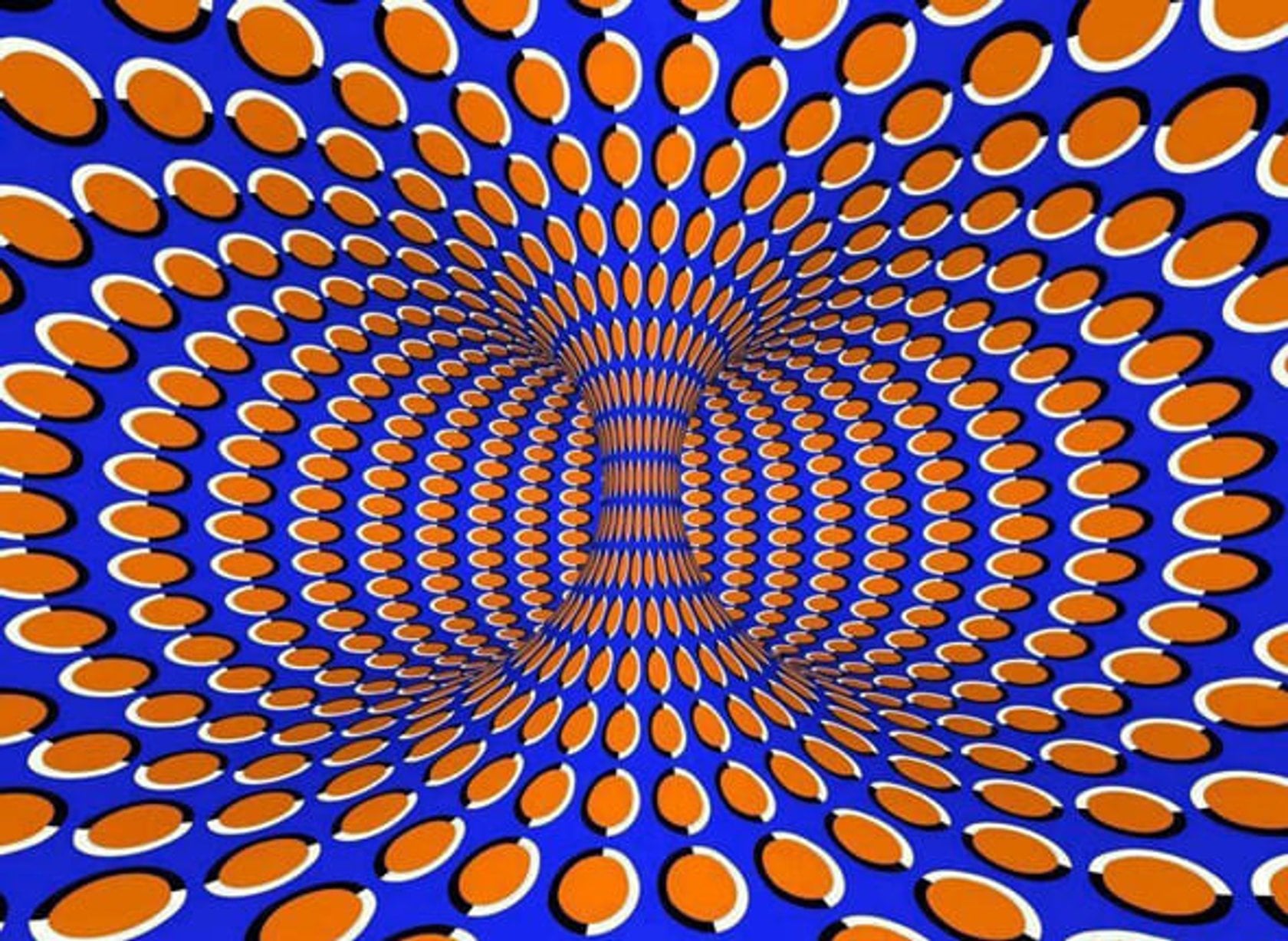Optical Illusion Examples: Deconstructing Visual Perception | Skylum Blog