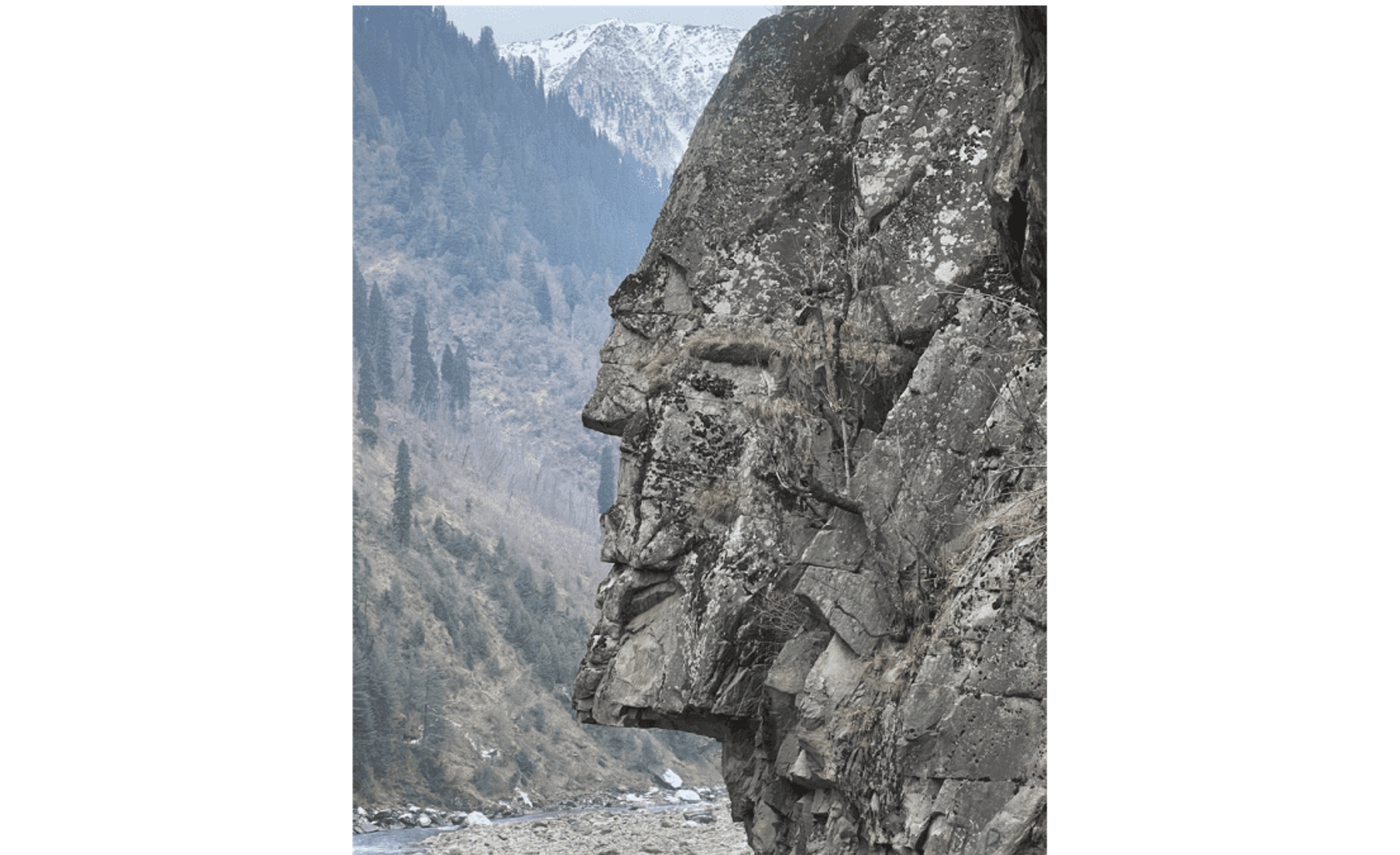 Optical Illusion Examples: Deconstructing Visual Perception | Skylum Blog