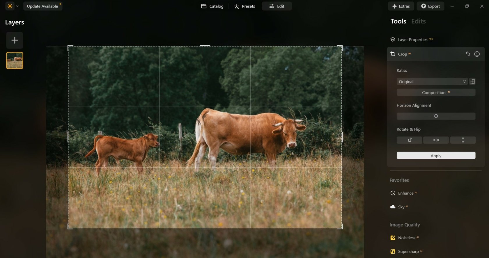 How To Professionally Edit Photos: Secrets Unveiled | Skylum How-to
