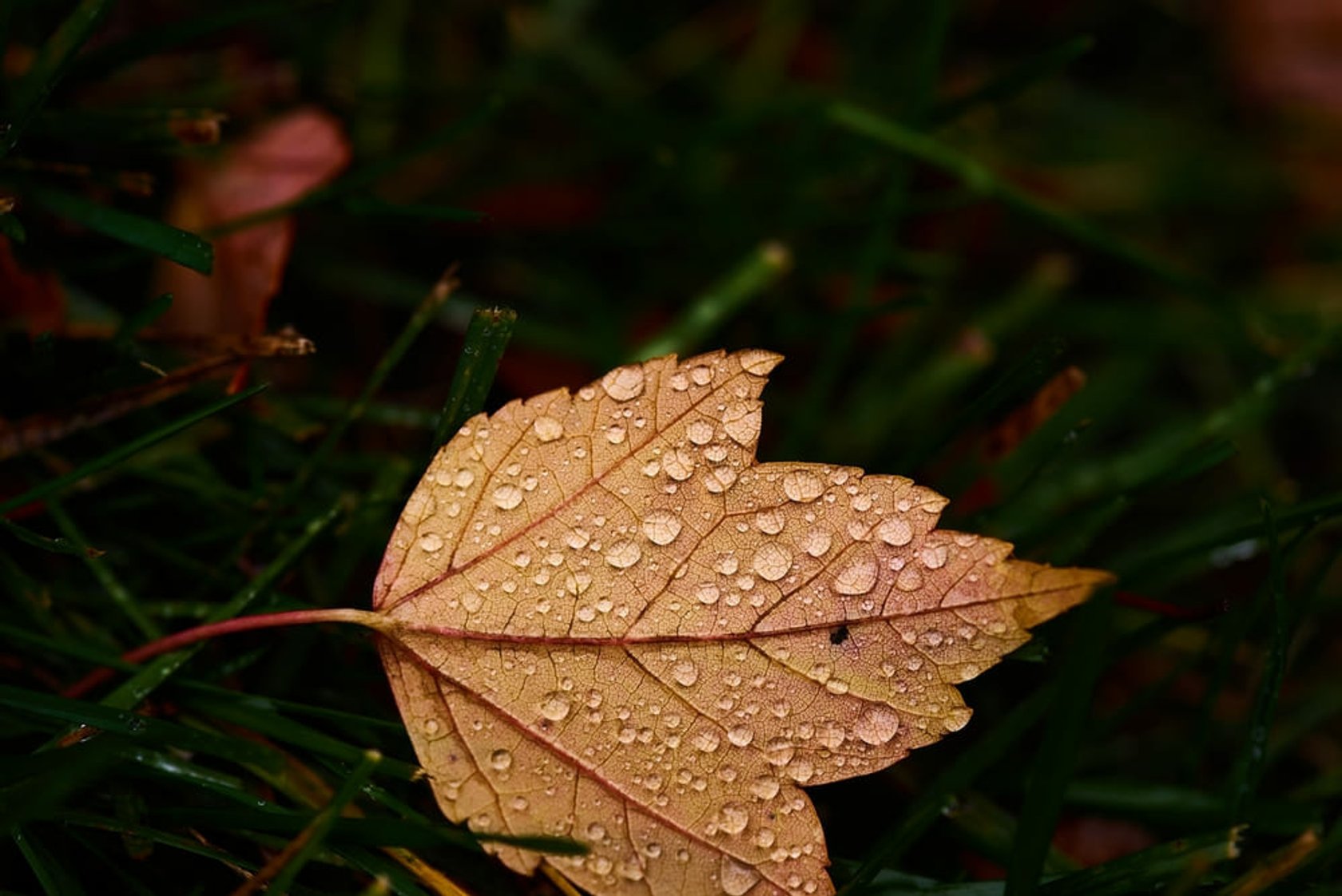 September Photoshoot Ideas: Golden Light & Crisp Air Await | Skylum Blog