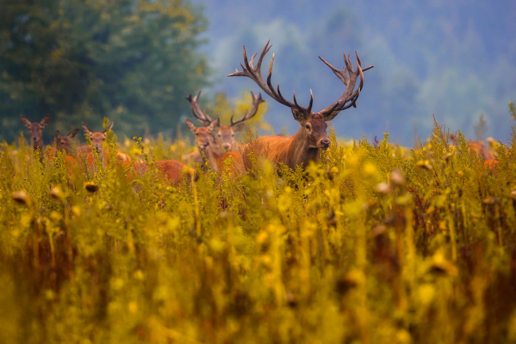 September Photoshoot Ideas: Golden Light & Crisp Air Await | Skylum Blog