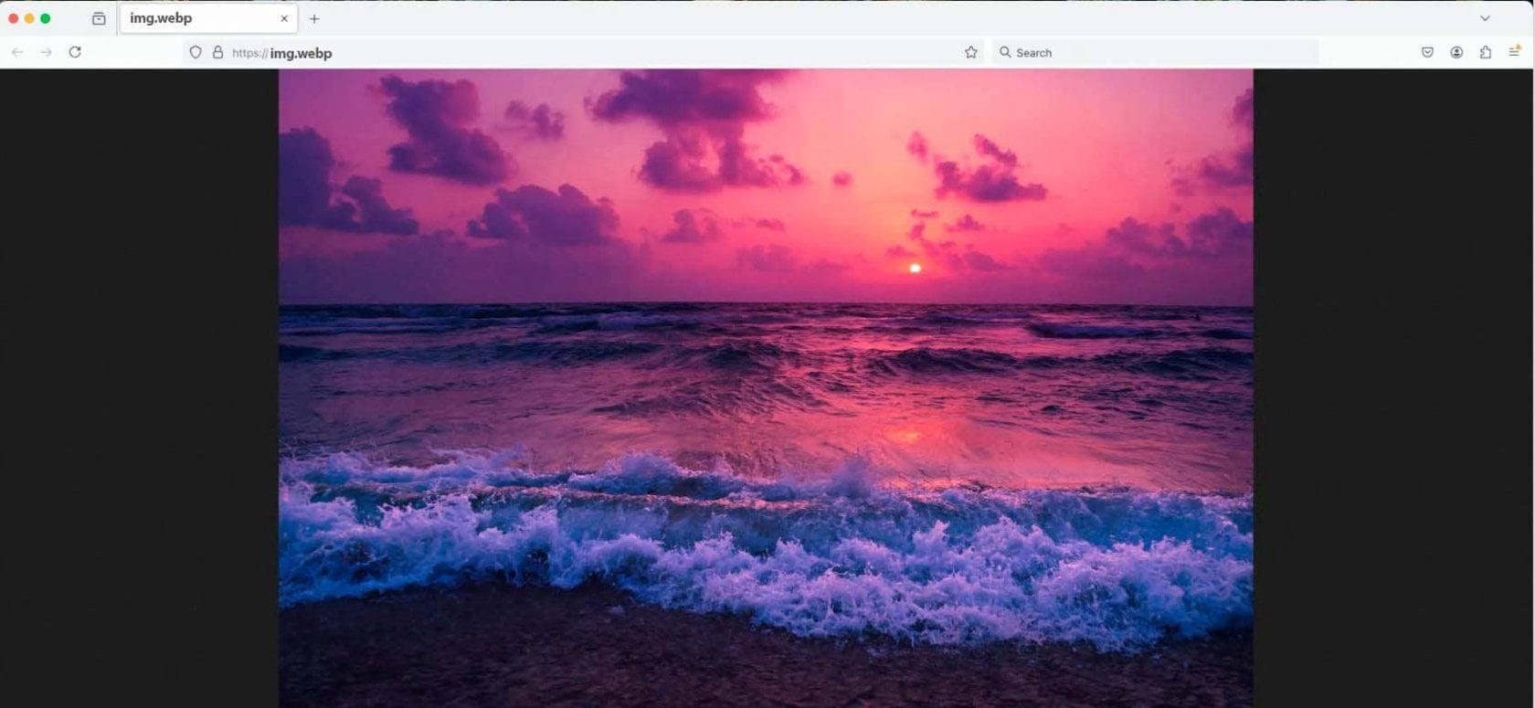 Your Ultimate Tutorial On How To View WebP Files | Skylum How-to