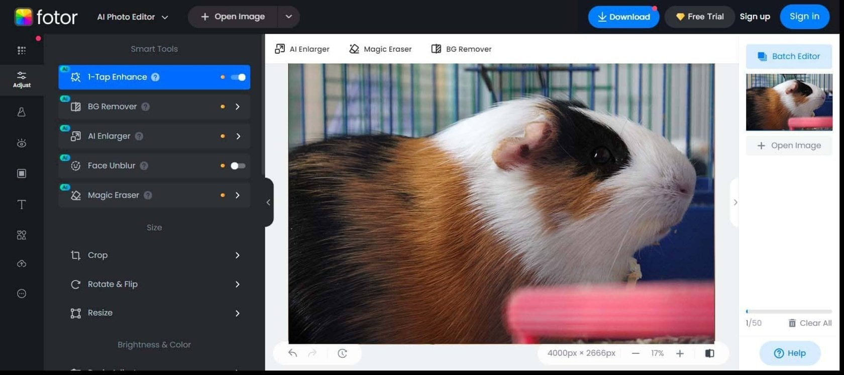 Apps To Add Picture On Picture: Don’t Miss These Top Picks | Skylum Blog