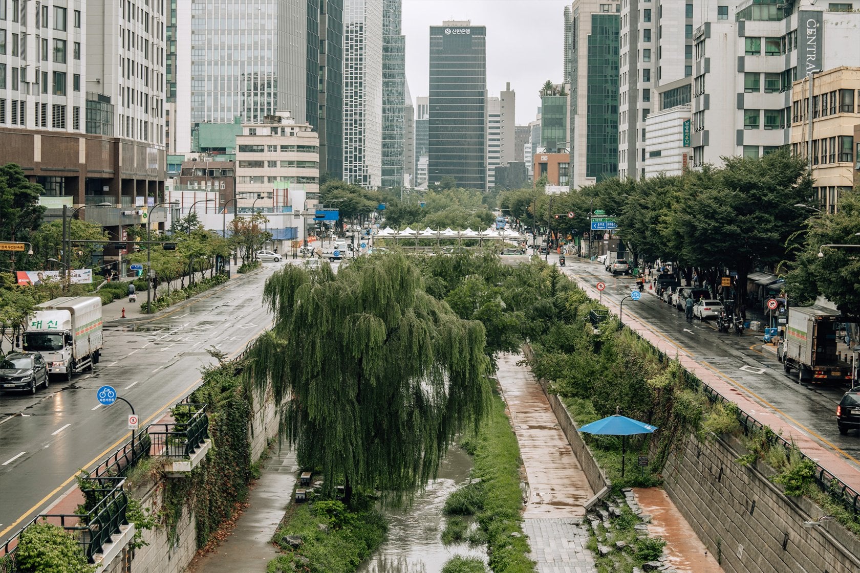 A Full Guide to Urban Nature Photography | Skylum Blog