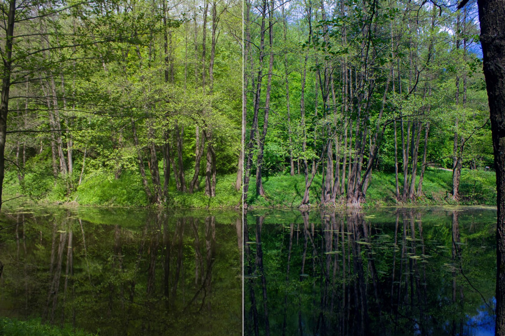 What Are Analogous Colors? Schemes & Harmony Hacks | Skylum Blog