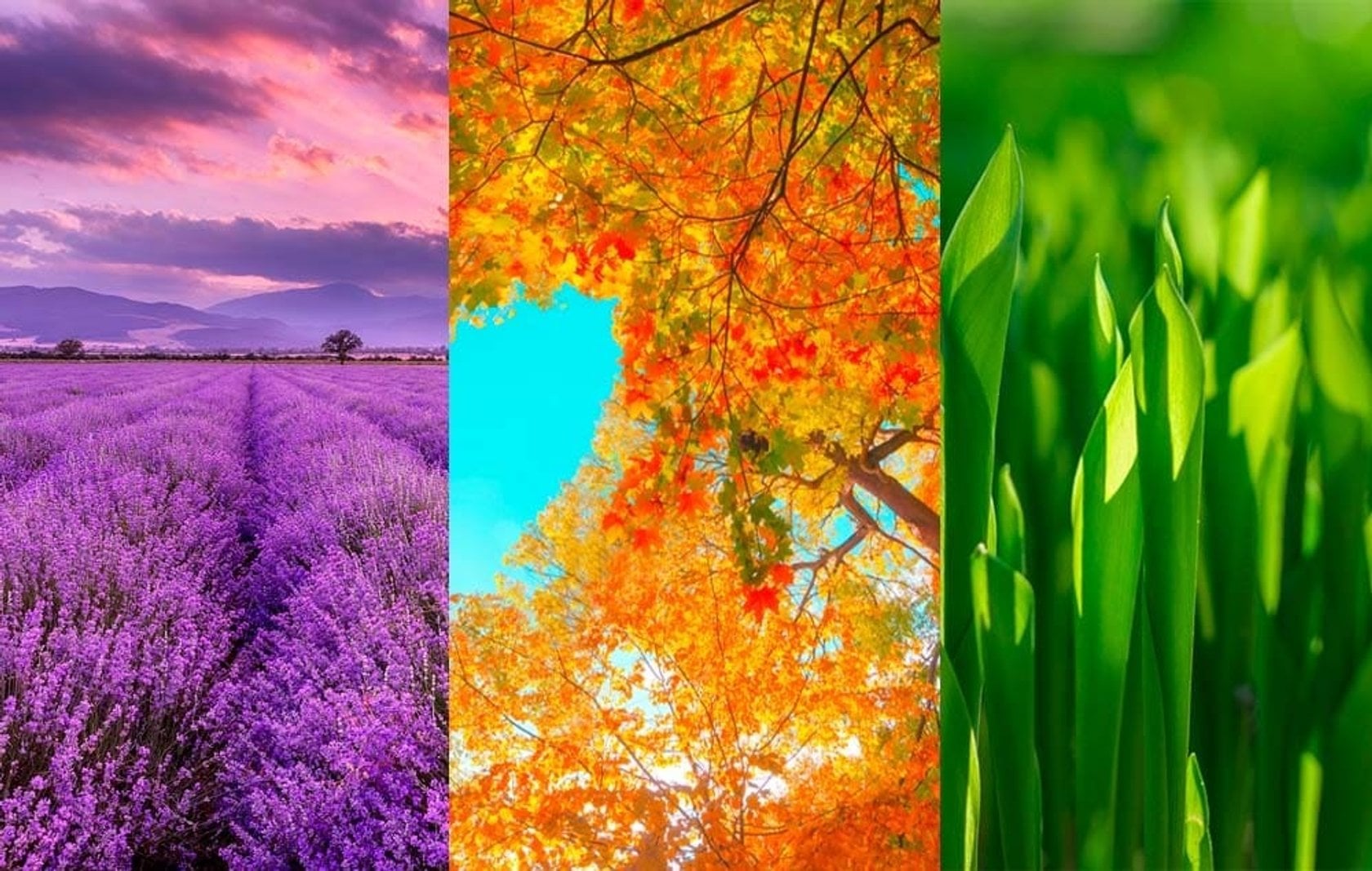 What Are The Secondary Colors: A Beginner's Guide | Skylum Blog