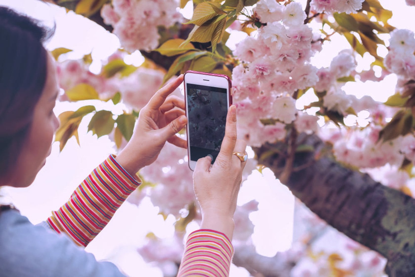 How To Take Macro Photos With iPhone: Simple Guide | Skylum Blog