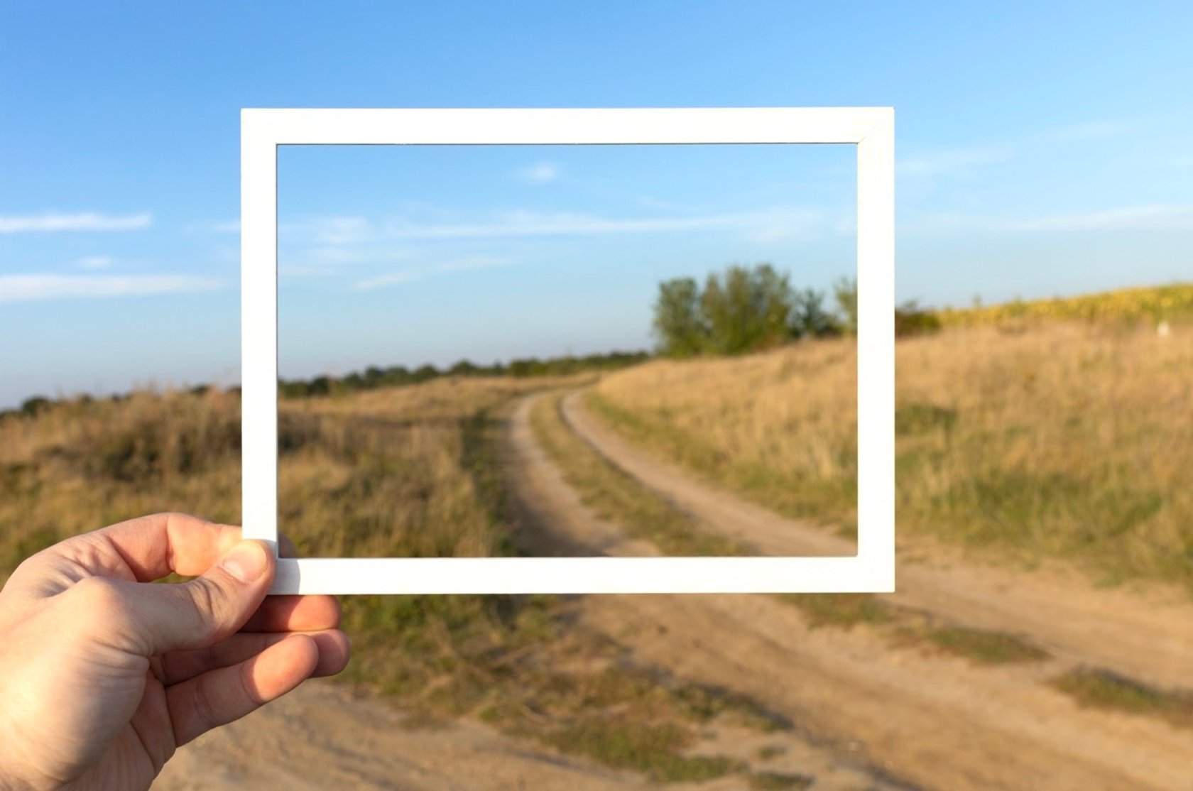 Examples Of The Golden Ratio Hidden In Plain Sight | Skylum Blog