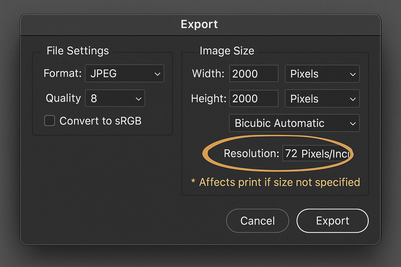 Decoding PPI vs. DPI for Photographers | Skylum Blog