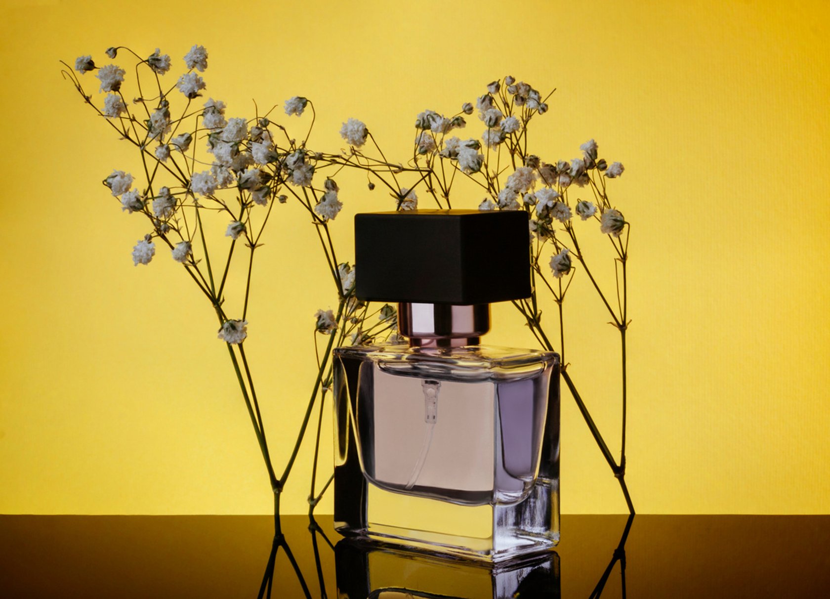 Fragrance Photography: Capture The Allure Of Scent | Skylum Blog