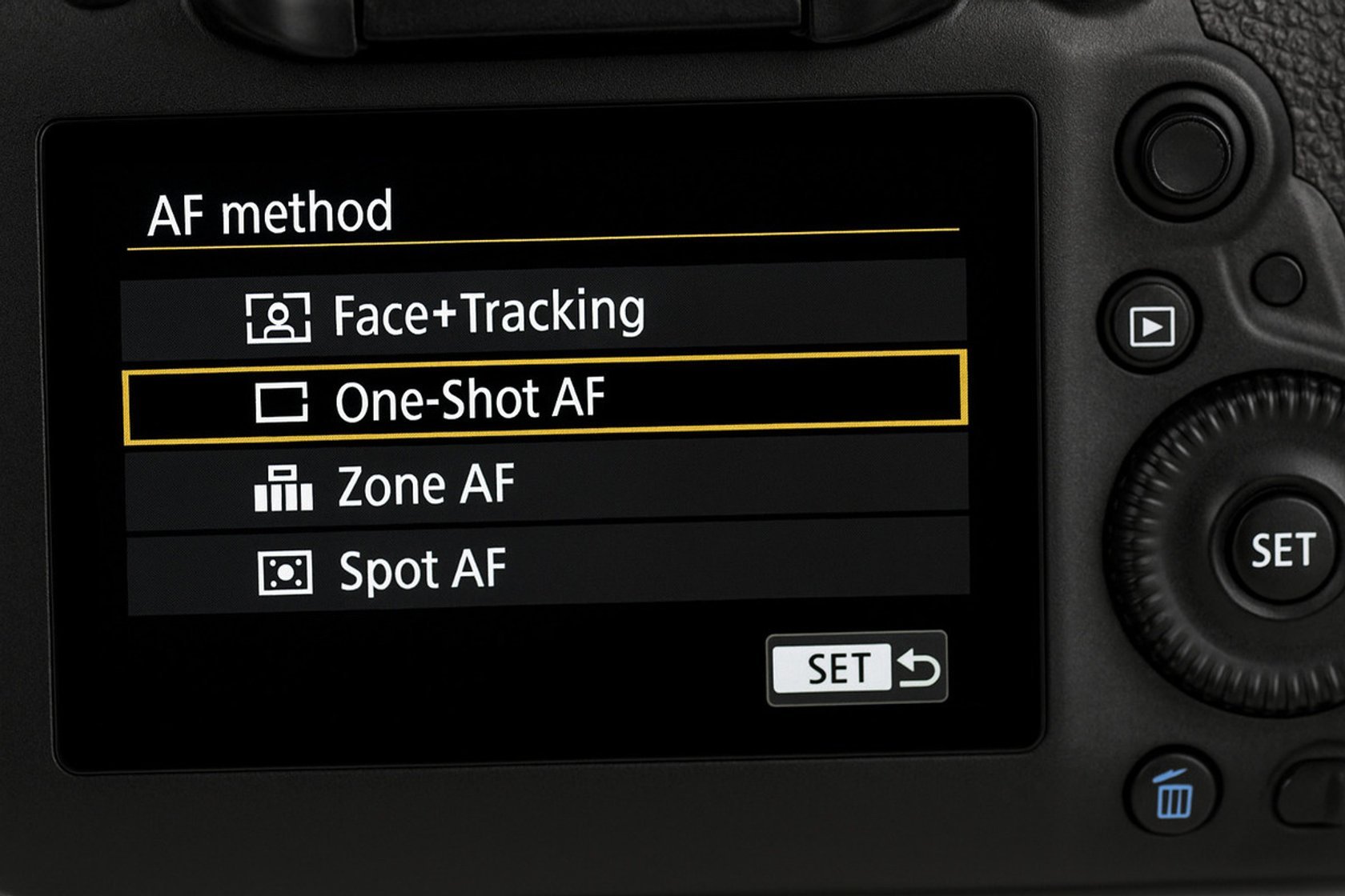Camera Focus Types: What To Pick For Perfect Shots | Skylum Blog